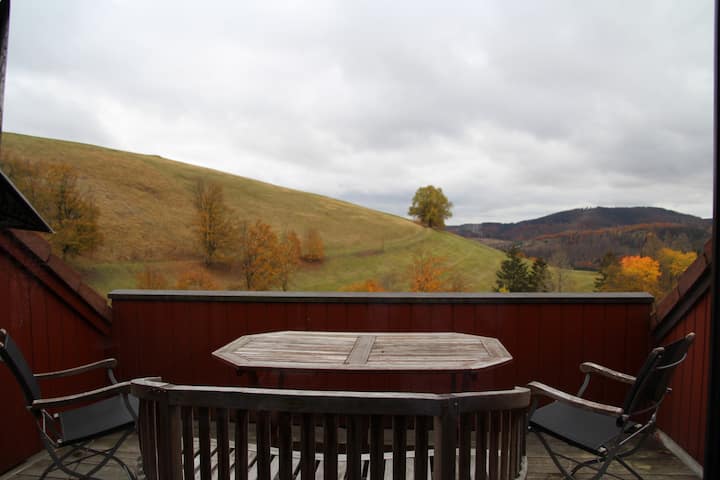 Gemütliche Wohnung Mit Blick Auf Den Glockenberg - Harz