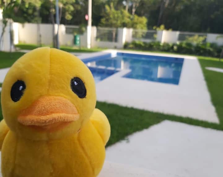 Depa Del Pato (A/a, Alberca, Wi-fi, Planta Baja) - Cancún