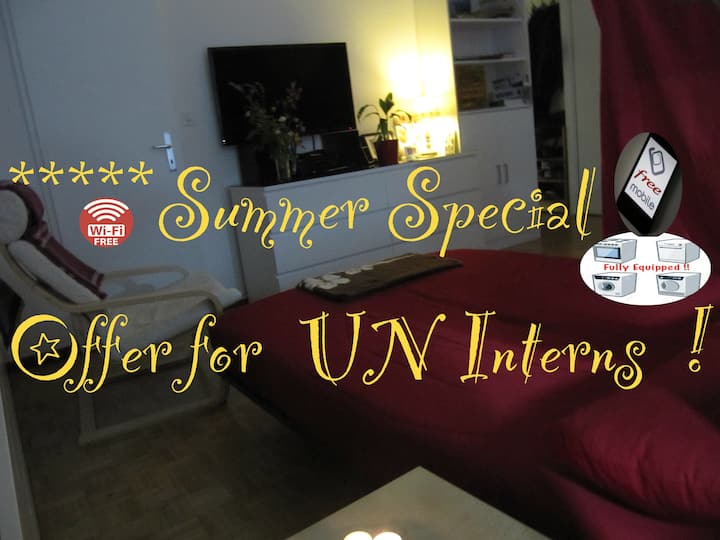 Perfect For Un Intern ! Central, Fully Furnished ! - Genève