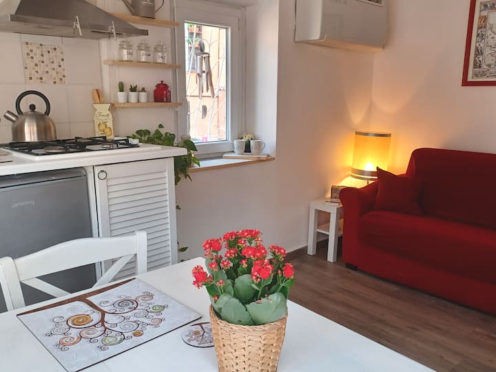 Happy Five Lovely Apartment In Trastevere - Rom