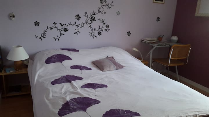 Chambre Dans Maison Individuelle - Cestas