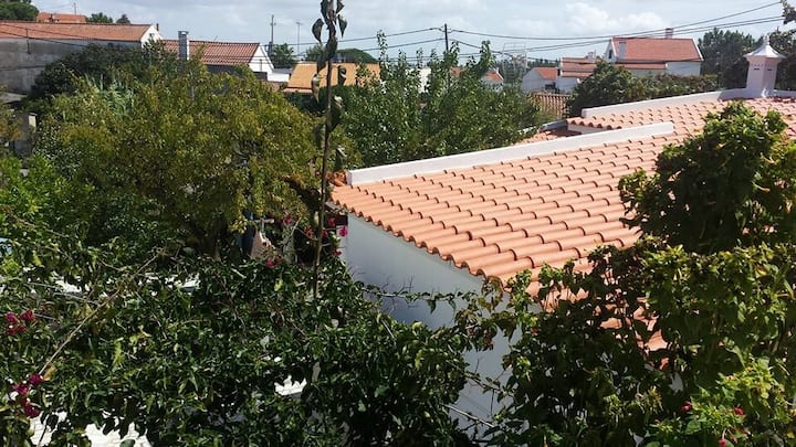Charneca Guest House - Alentejo