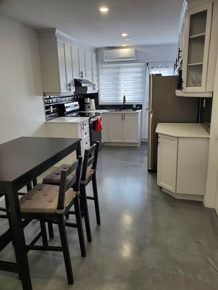 Everything You Will Need @ Chez Johnny - Montreal