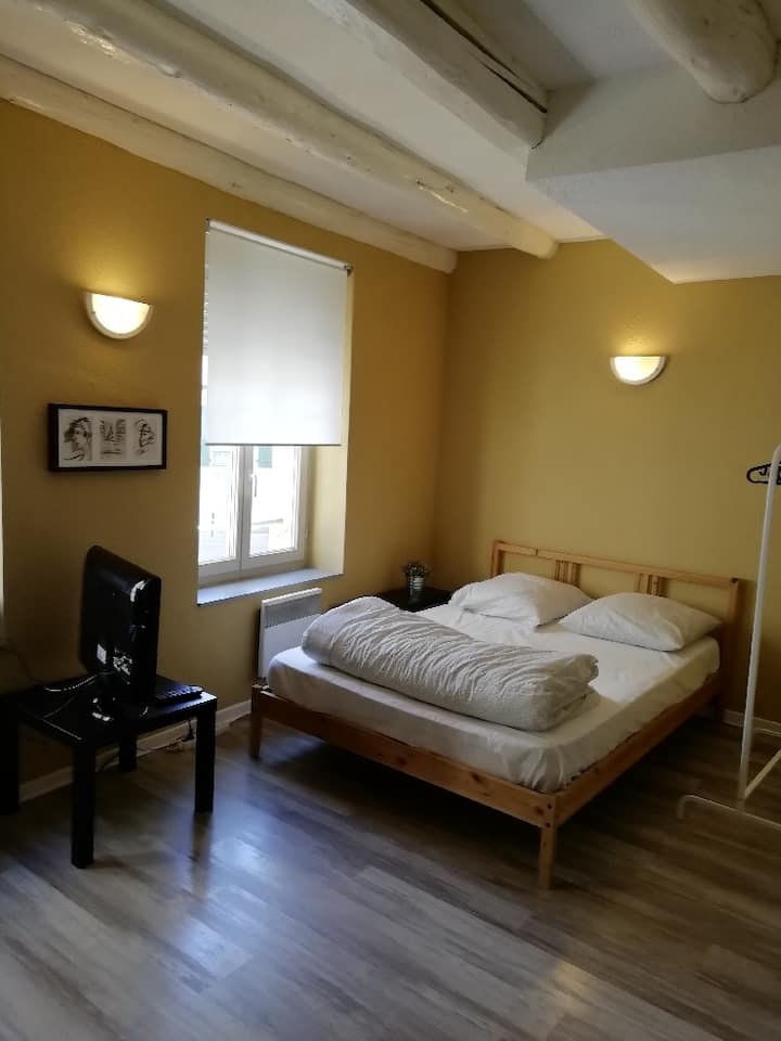 Studio Proche Place Stanislas - Nancy
