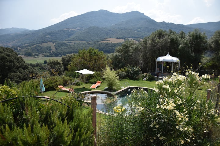 Gîte Climatisé N° 1 Avec Piscine-loué à La Semaine - Corse-du-Sud