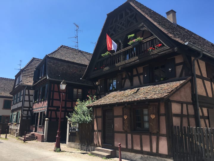 Strasbourg Gite Familial De Caractère - 