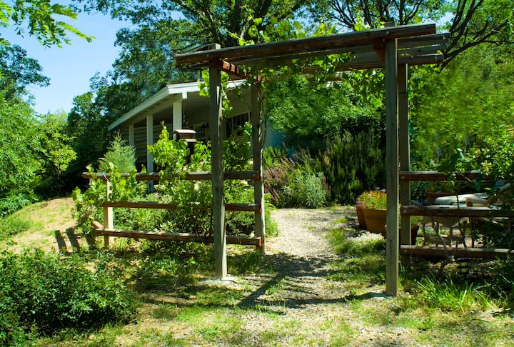 Black Oak Cabin - Julian, CA