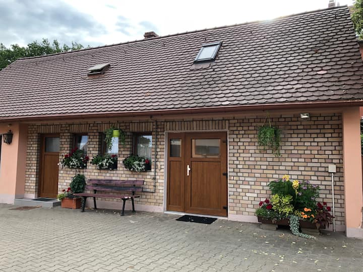 Renoviertes Appartement In Guter Lage - Nürnberg