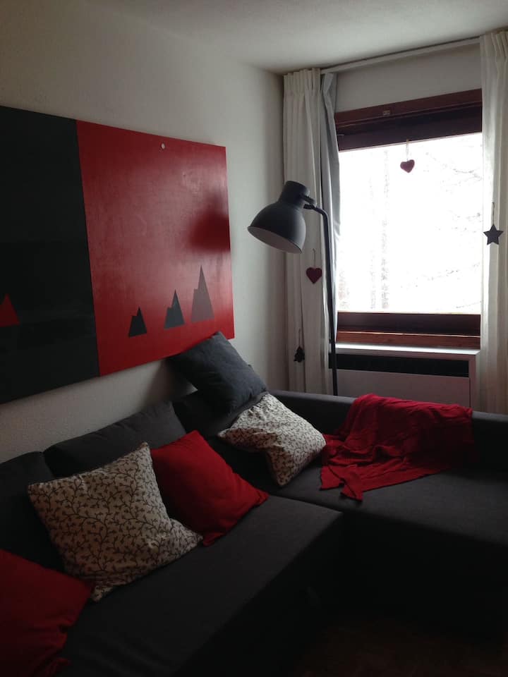 Elegant Flat For Skiiers - Zermatt