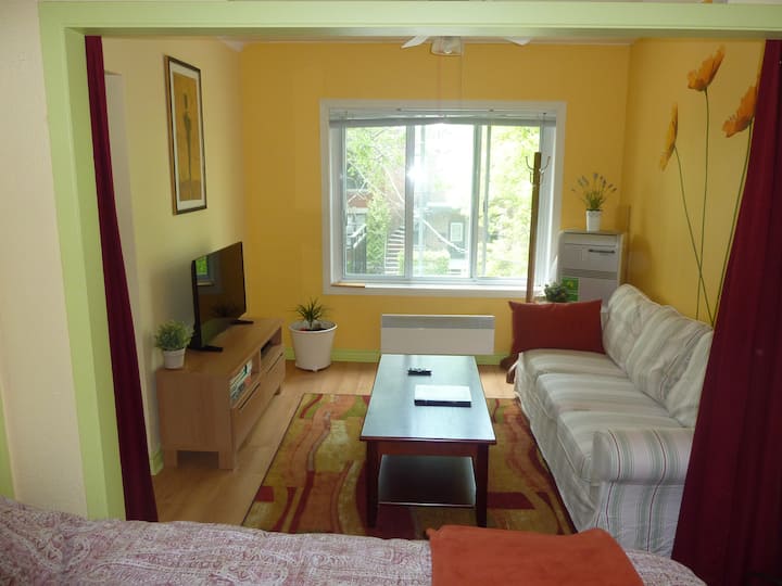 Appartement Sympa Tout éQuipé/fully Equipped - Montreal