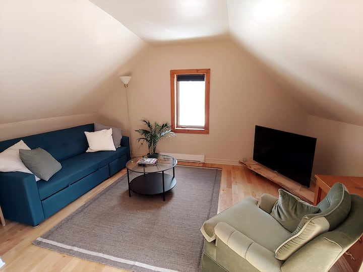Appartement De 2 Chambres Avec Loft - Ottawa