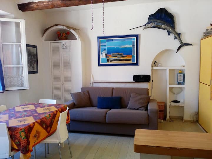 Lovely Studio In Oldtown Antibes - Antibes