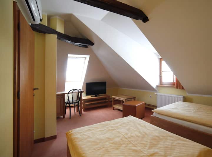 Bed & Breakfast ŠIlak Room 8 | One Bedroom | View - Ptuj
