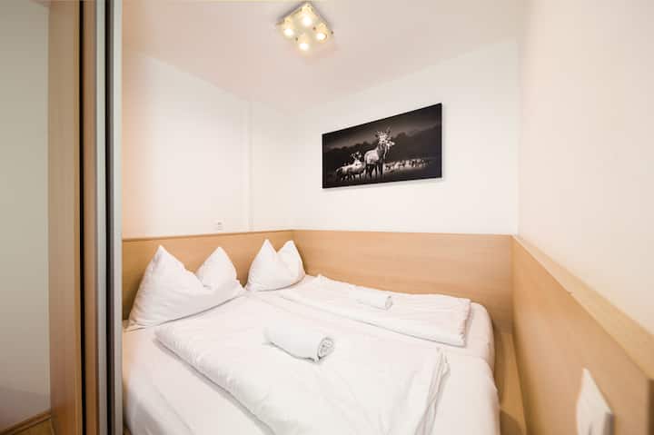 Comfort Apartment Haus Thalgau Iii-16 - Saalbach-Hinterglemm