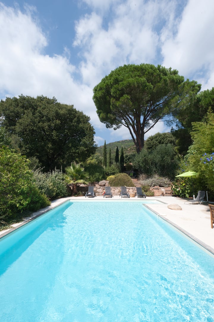 Gite De Charme Piscine Chauffée /Jacuzzi - Porto-Vecchio