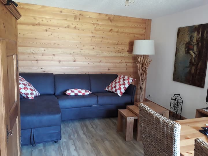 Appartement De Charme, Ski Au Pied ,42 M2 ,6 Pers - Place de la Vanoise