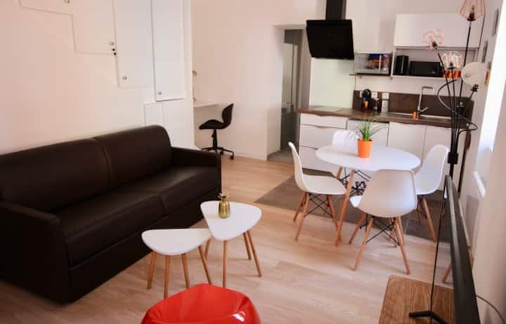 Tout Beau Tout Neuf Climatisé - Toulouse