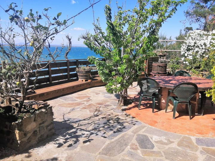 Cadre Exceptionnel, Les Pieds Dans L'eau! - Collioure