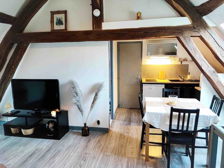 Charmant T2 / Centre Ville / Parking/ Wifi - Loiret