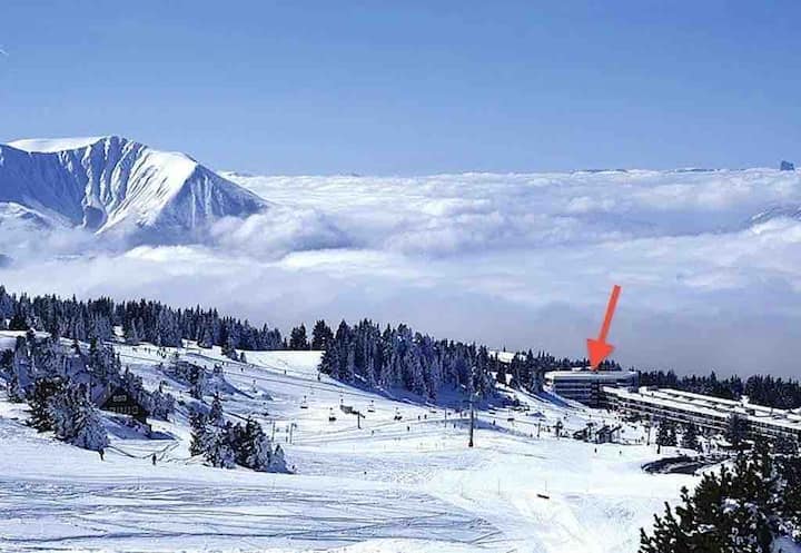 Roche Beranger Chamrousse Studio 5p 113 - Chamrousse