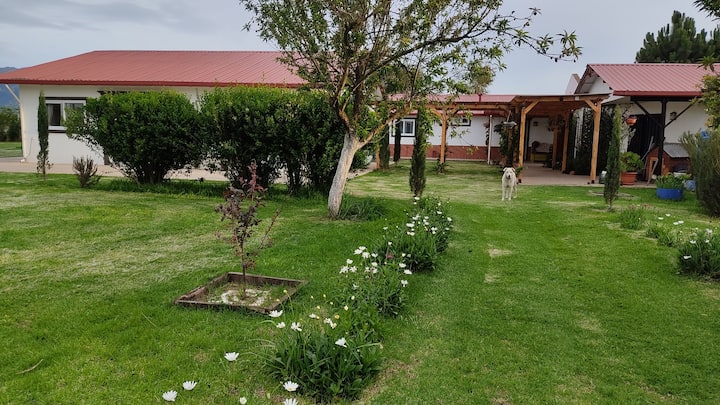 Eustaqia Farm, Comfort And Nature, Pet Friendly - Guatemala