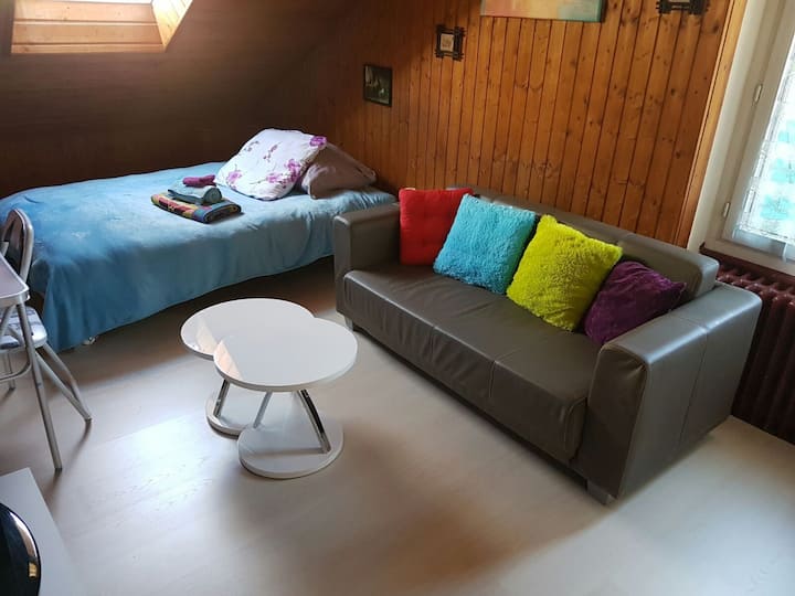 Chambre 42 Calme Au Coeur De Lausanne. - Lausanne