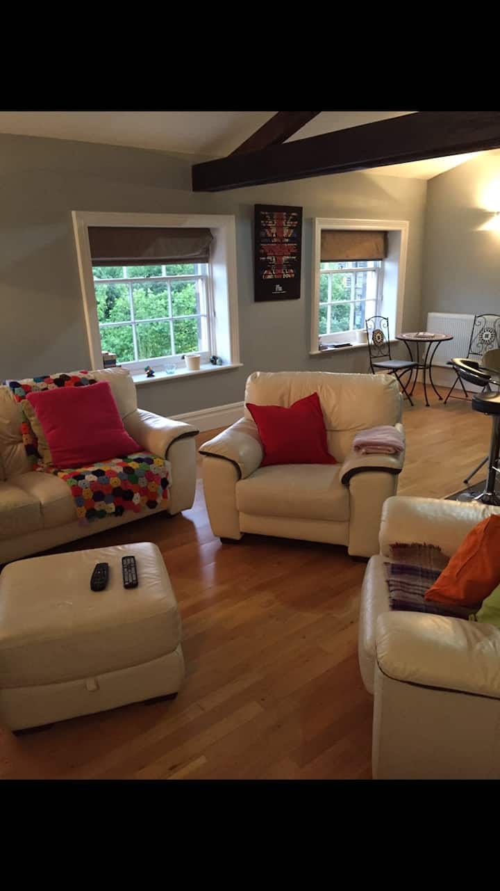 Georgian Apartment With River And Park Views - Birkenhead