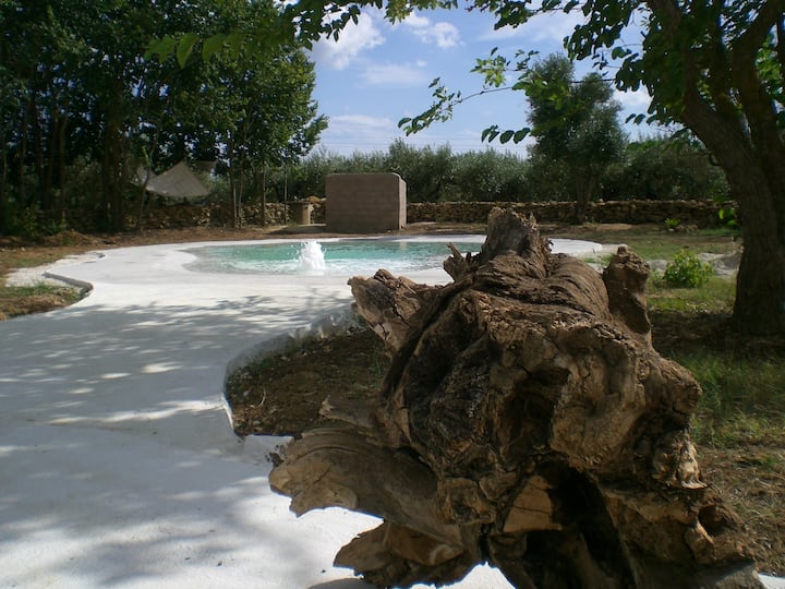 Baglio Amari Cusa Casa Gaia - Castelvetrano