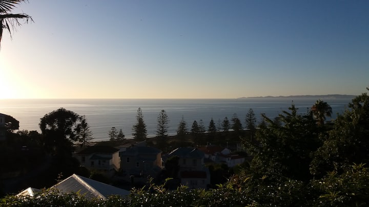 Magnificent Sea Views Historic Home - Napier