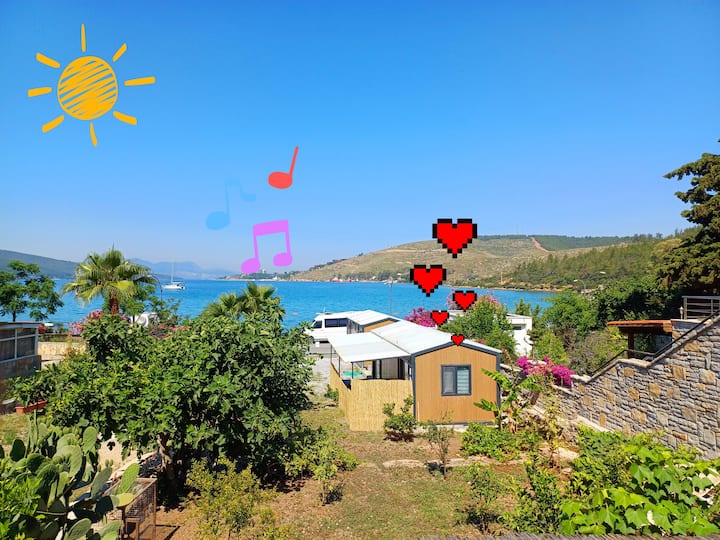 Deniz Ve Orman Ile Iç Içe Bahçeli Küçük Ev 🍀 - Güvercinlik