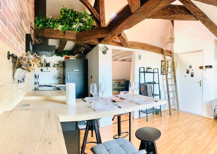 Le Petit Cosy - 2 Voyageurs - Wifi - Le Mans