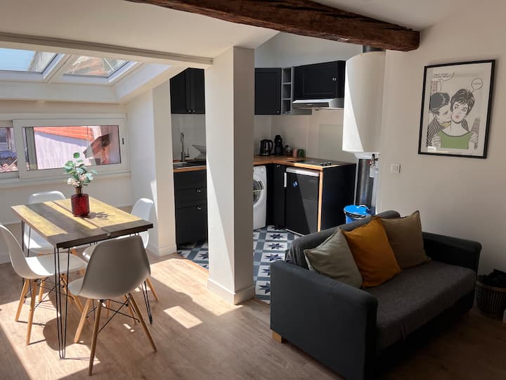 Charmant T2 Au Coeur De Toulouse - Toulouse