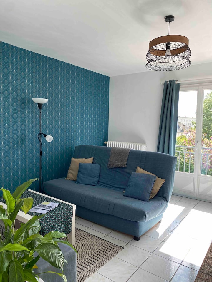 Appartement Cosy Avec Parking Gratuit Près Du Tgv - Vouvray