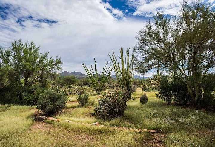 Studio De Saguaro-hot Tub Retreat At Alma Del Sol - Arizona-Sonora Desert Museum