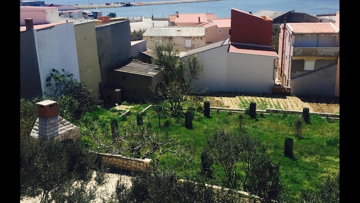 Apartmant In Island Pag - Pag