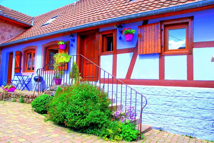 La Maison Bleue - Obernai