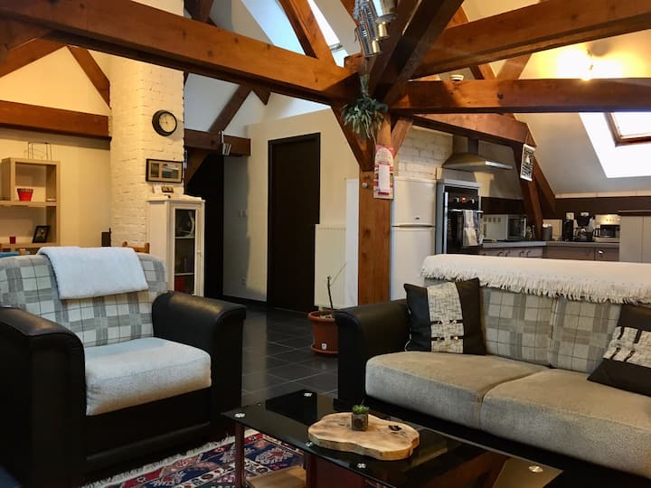 Appartement De Charme Tout Confort à 5 Min Du Lac - Vosges