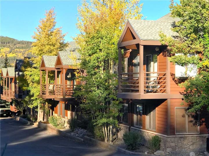 Ski-in Condo, Hot Tub, Dog-friendly - Breckenridge, CO