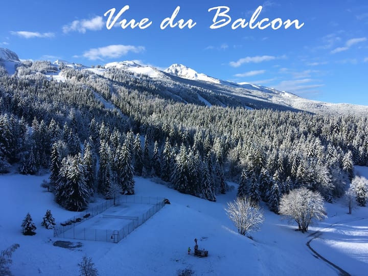 Villard De Lans Appartement 35m² Ski - Glovettes - Villard-de-Lans