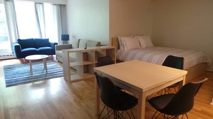 Small But Cute  (Apt 113) - Montreal