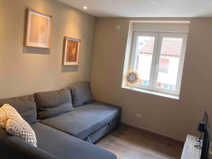 Appartement Centre De Colmar - Colmar