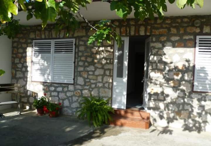 Apartman Pod Palmom - Novi Vinodolski