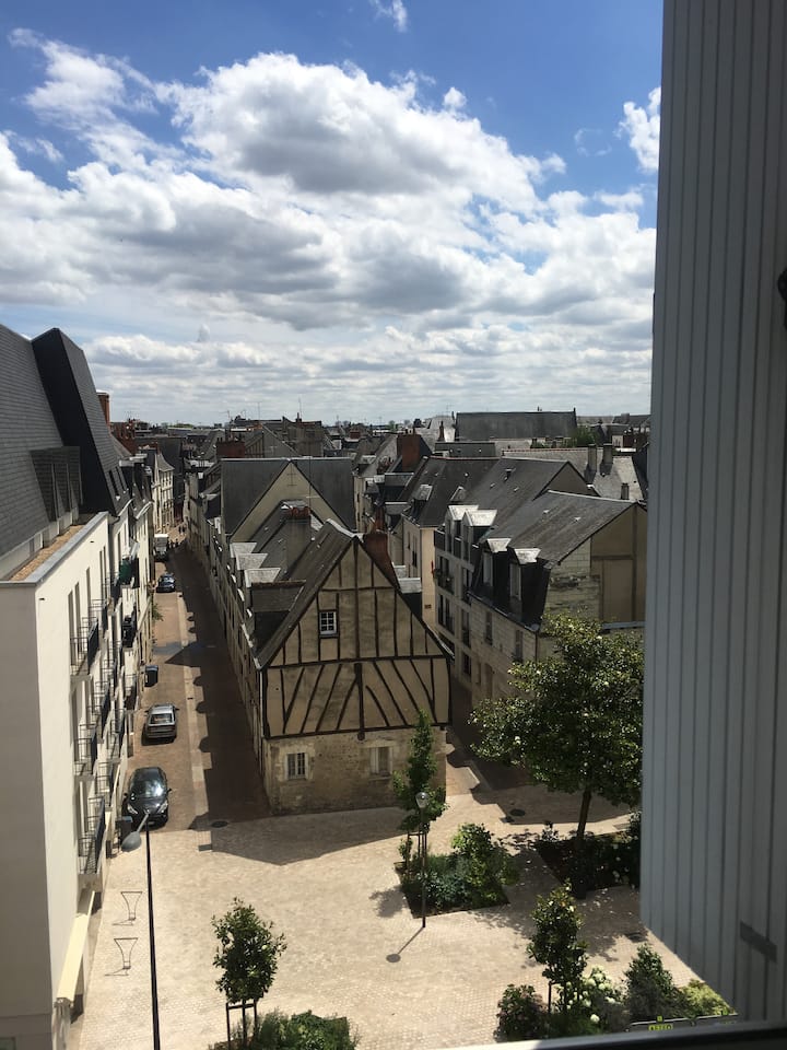 Appartement De 90m2 Entre Loire Et Vieux Tours - Tours