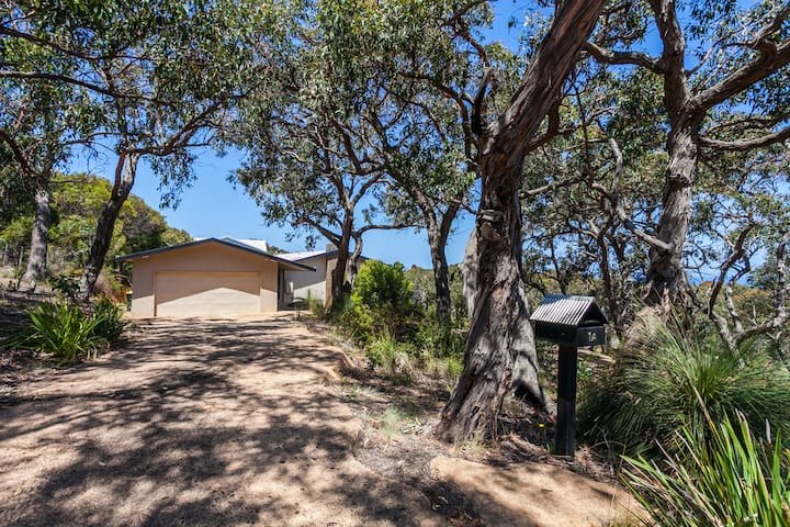 Grasstrees In Anglesea - Anglesea
