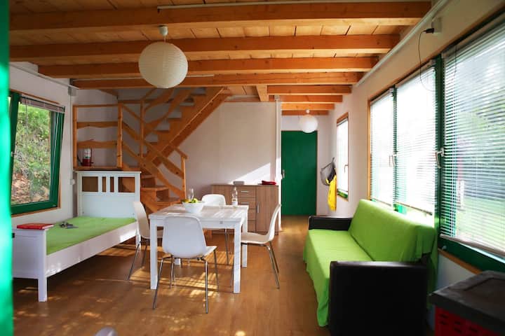 Greenish Chalet, Apuseni Mountains, Transylvania - Transylvania