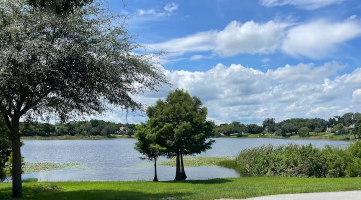 Stunning, Modern 2-bedroom With Lake View - Maitland, FL