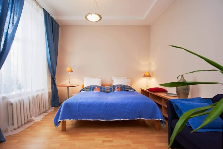 Didzioji 10 Spacious 2 Bedroom Condo, Free Parking - Vilnius