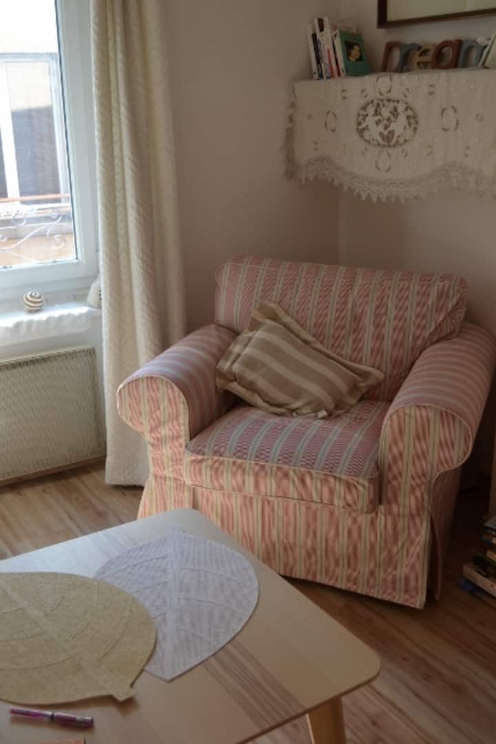 Chambre D'hôte Cosy 10' Cathédrale Femme Seulement - Le Puy