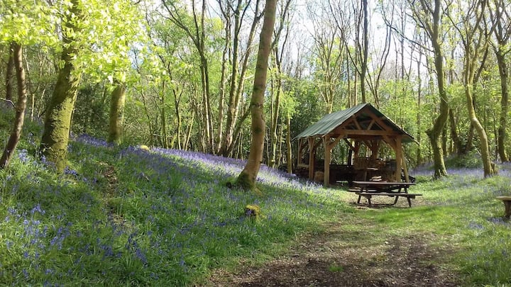Treehouse Tent + Hottub In Unique Private Woodland - Plymouth