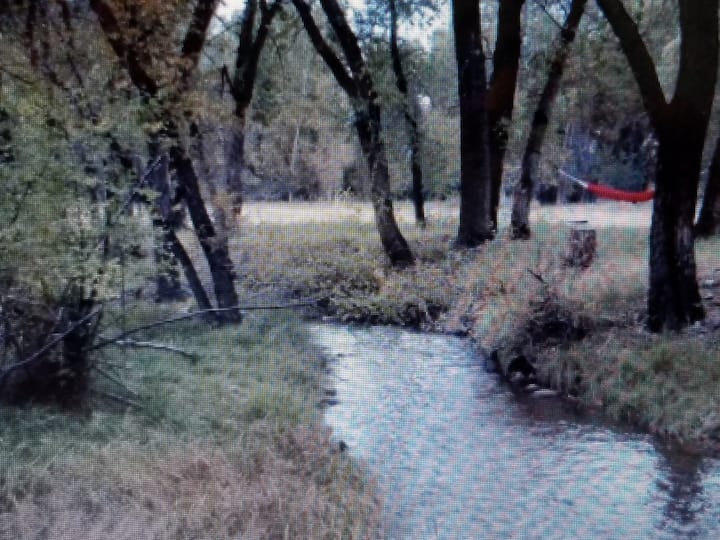 Cottonwood Spirit Ranch, 6 Creeks & 3 Ponds - Buena Vista